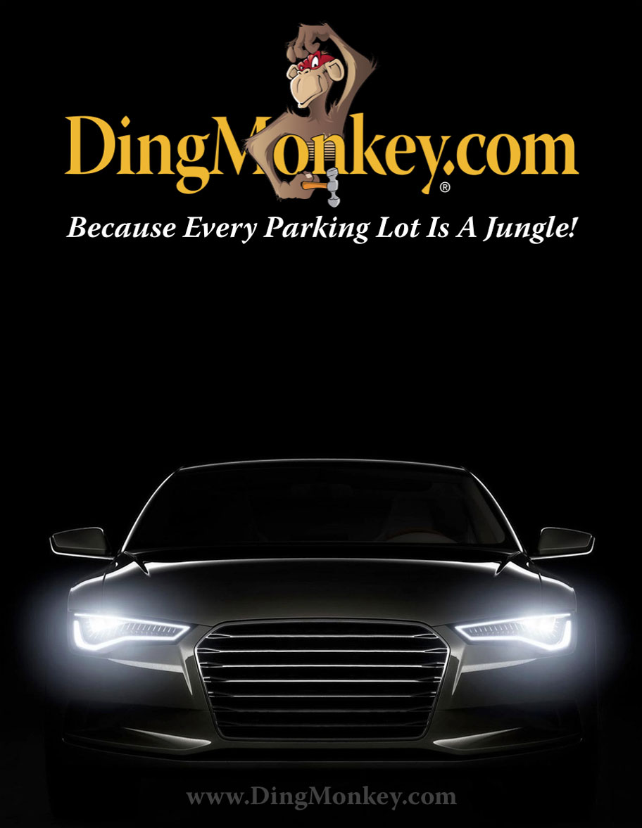 DingMonkey.com - Dealer Kit Pg 1